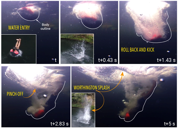 Mastering the Manu — The Bhamla Lab