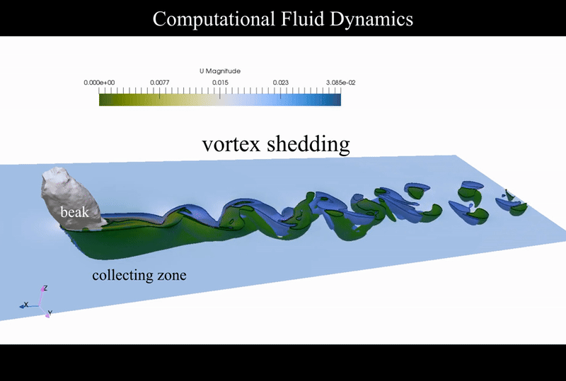 Flamingo Feeding Flows — The Bhamla Lab