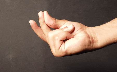 Finger Snap Physics — The Bhamla Lab