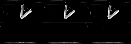 Mastering the Manu — The Bhamla Lab