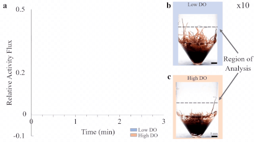 Worm blobs — The Bhamla Lab