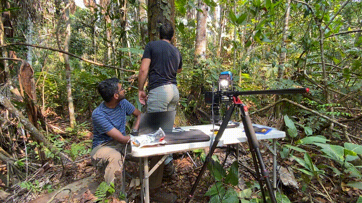 Jungle Biomechanics Lab — The Bhamla Lab