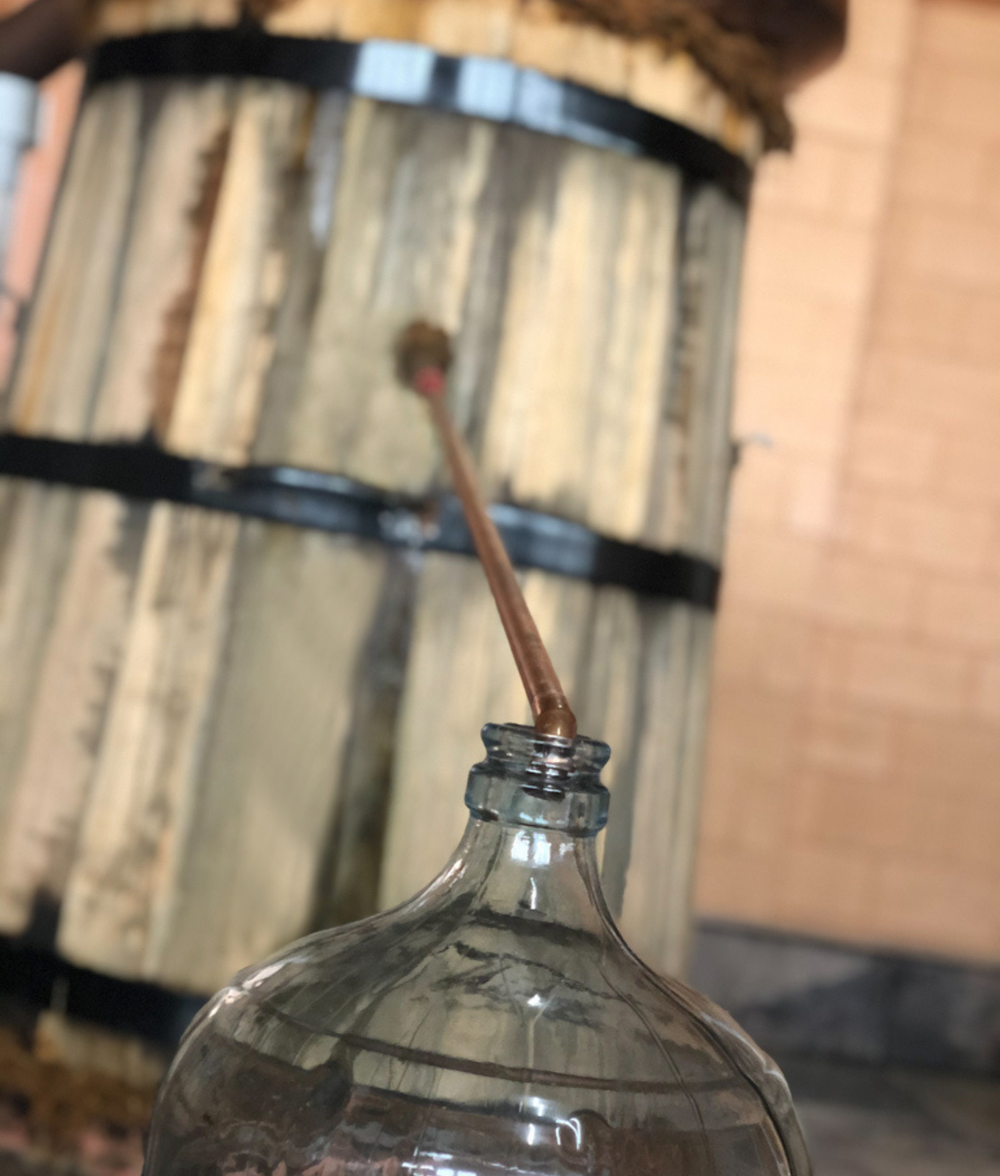 Discover Our Mezcal Heritage: A Tale of Two Sisters, Rooted in Farming ...