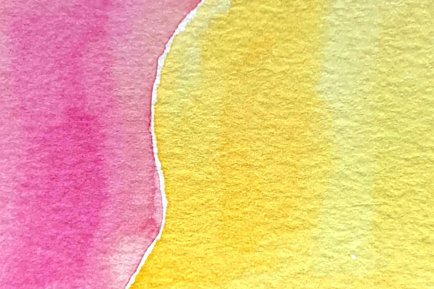 Working with Bleeds in Watercolor | Sarah Florer Watercolor ...