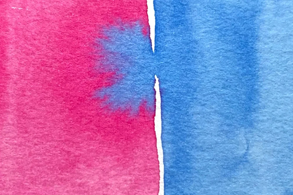 Working with Bleeds in Watercolor | Sarah Florer Watercolor ...