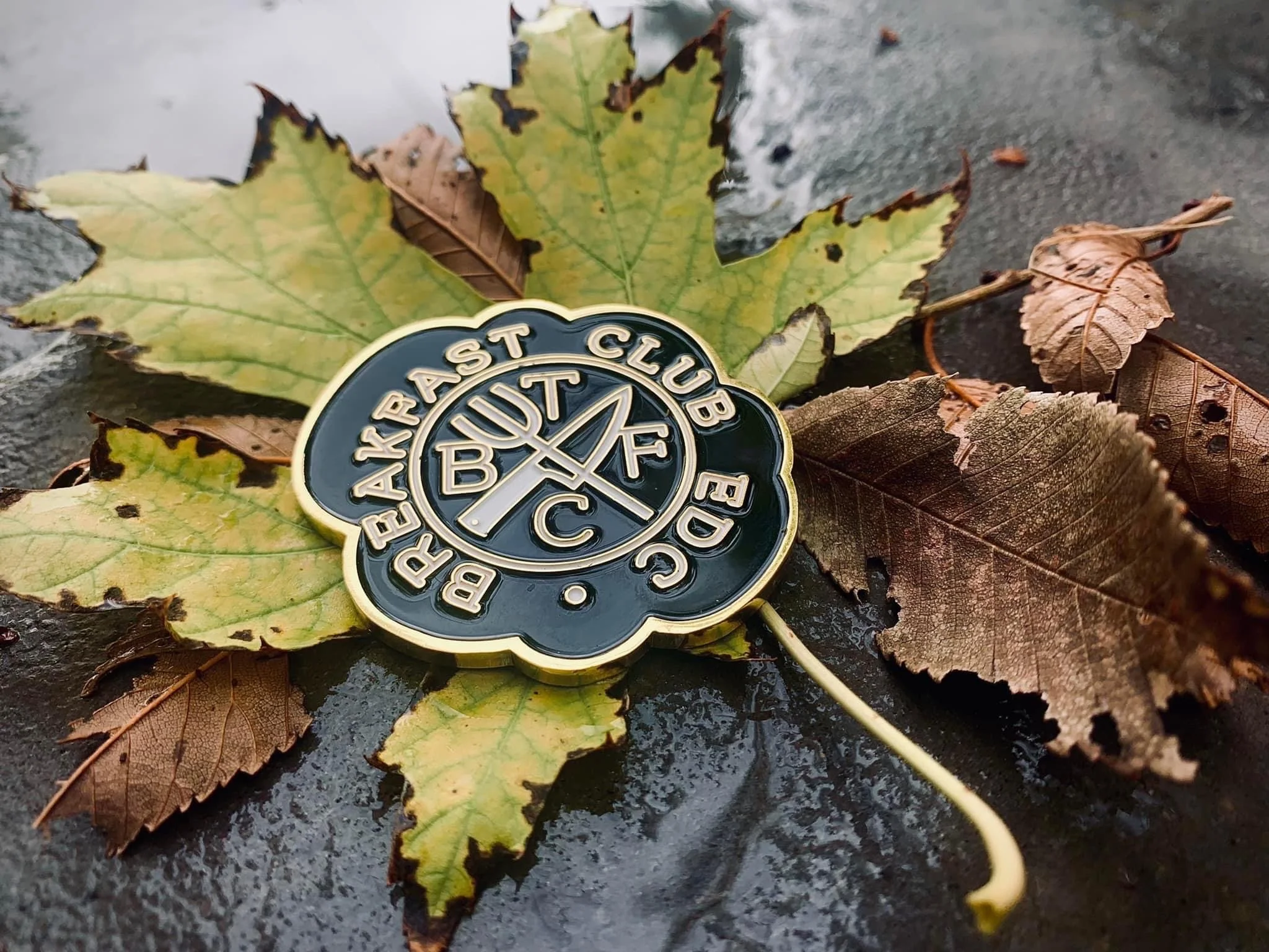 𝙿𝙴𝙾𝙿𝙻𝙴>𝙶𝙴𝙰𝚁