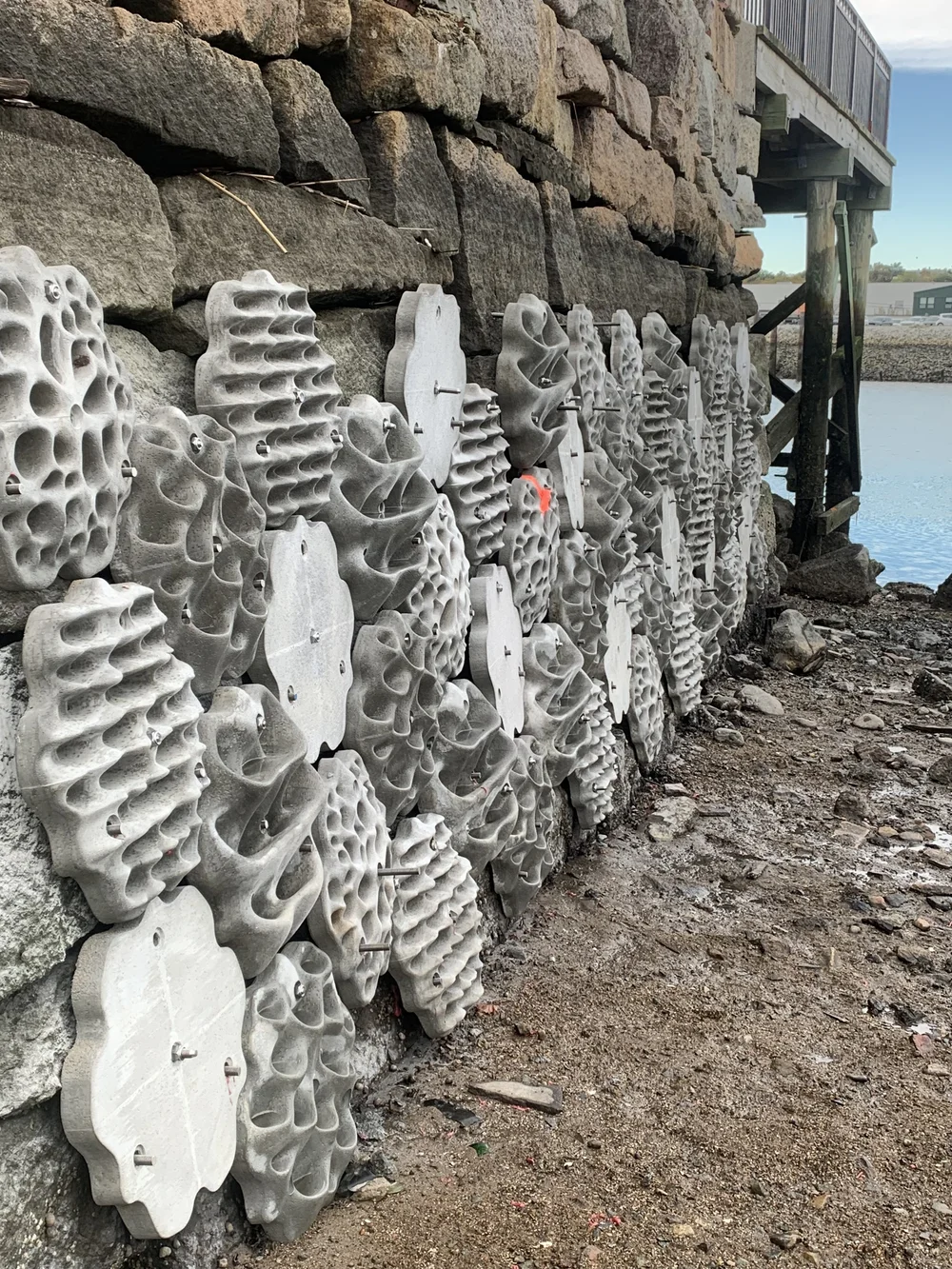 Living Seawalls