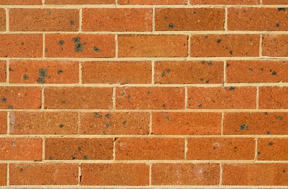 Lincoln Ellenborough Brick — Complete Lintels Building Supplies