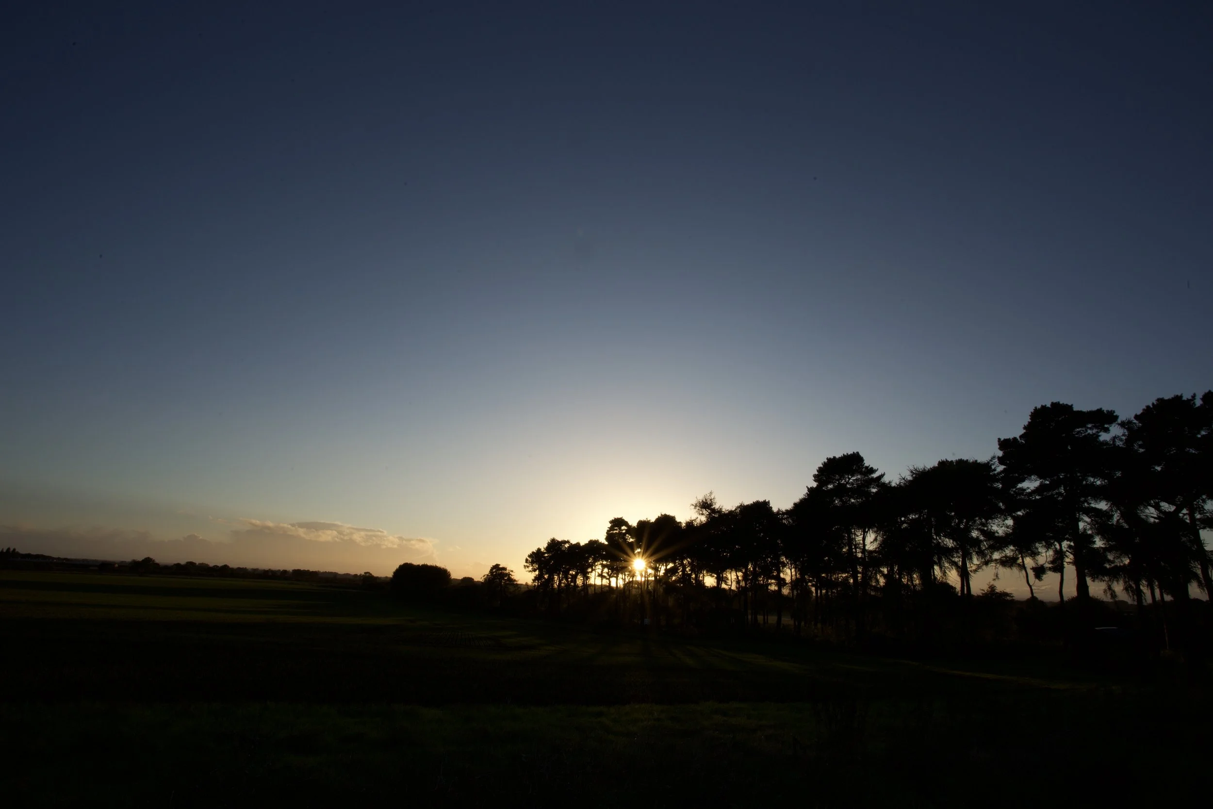 Our Team — Sally Farm - Helperby