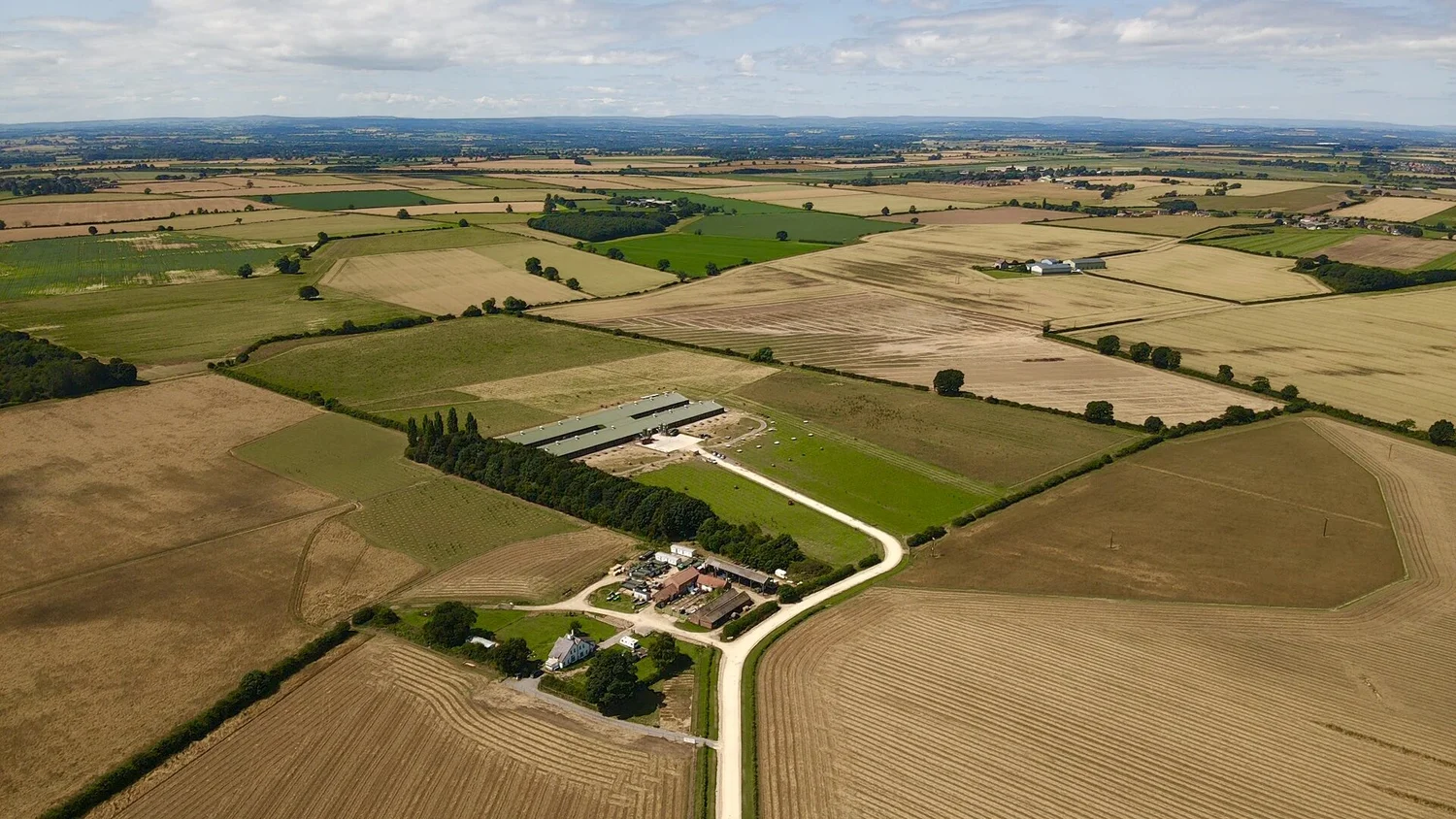 Sally Farm - Helperby