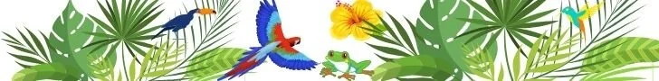 Rainforest Themed Carnival Costumes — UK Centre For Carnival Arts