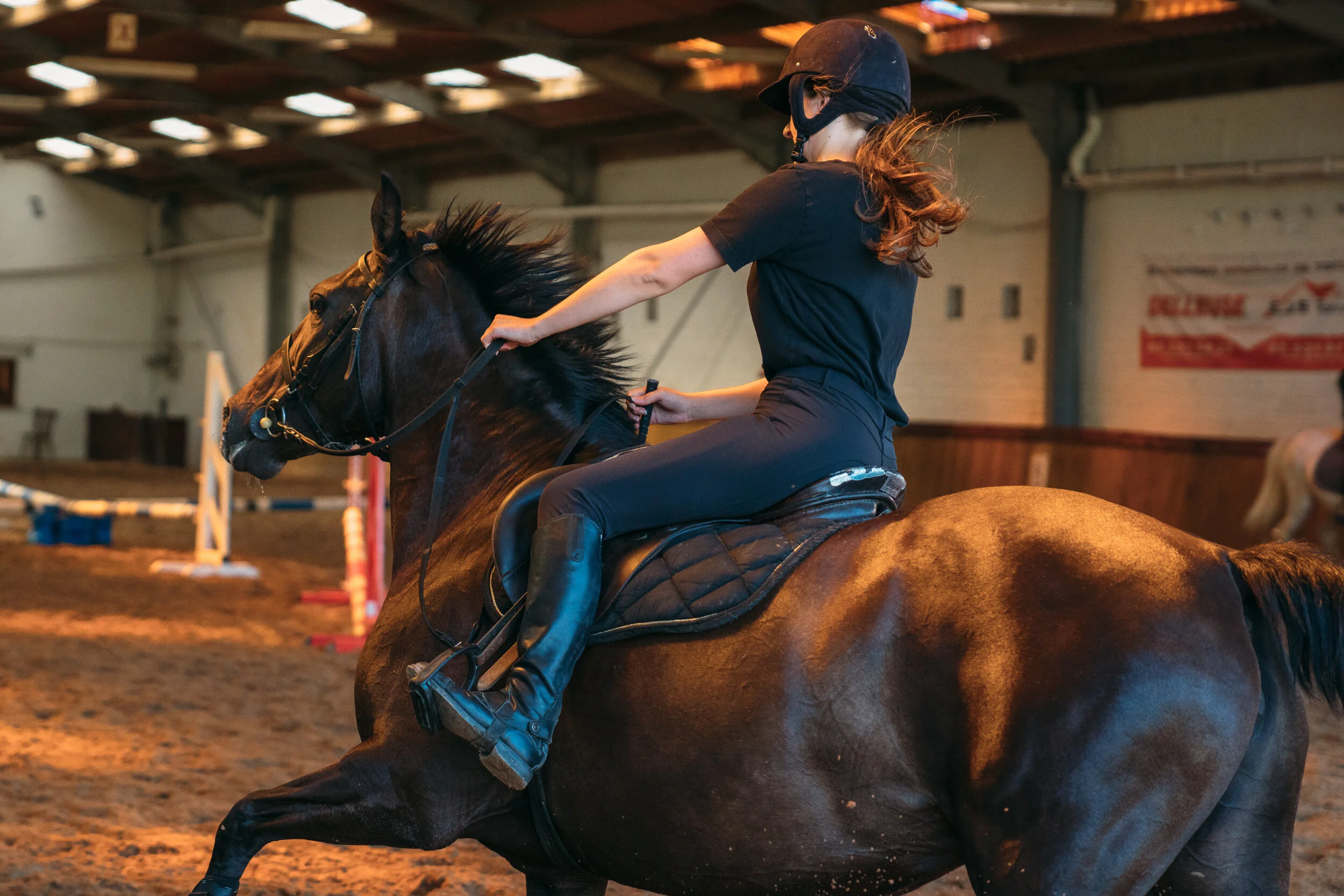 Walco Horse Riding Club