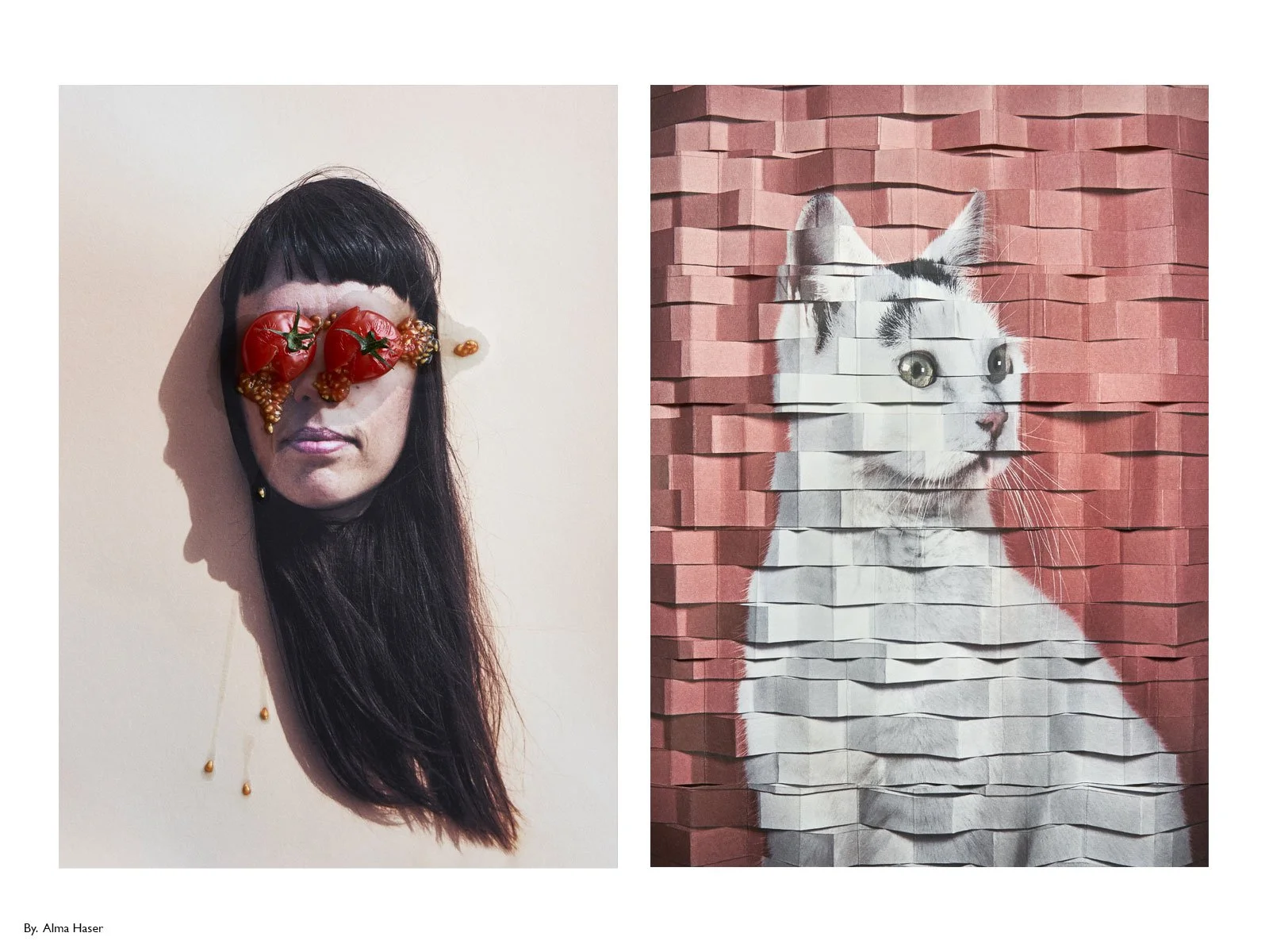 Alma Haser is known for her complex and meticulously constructed ...