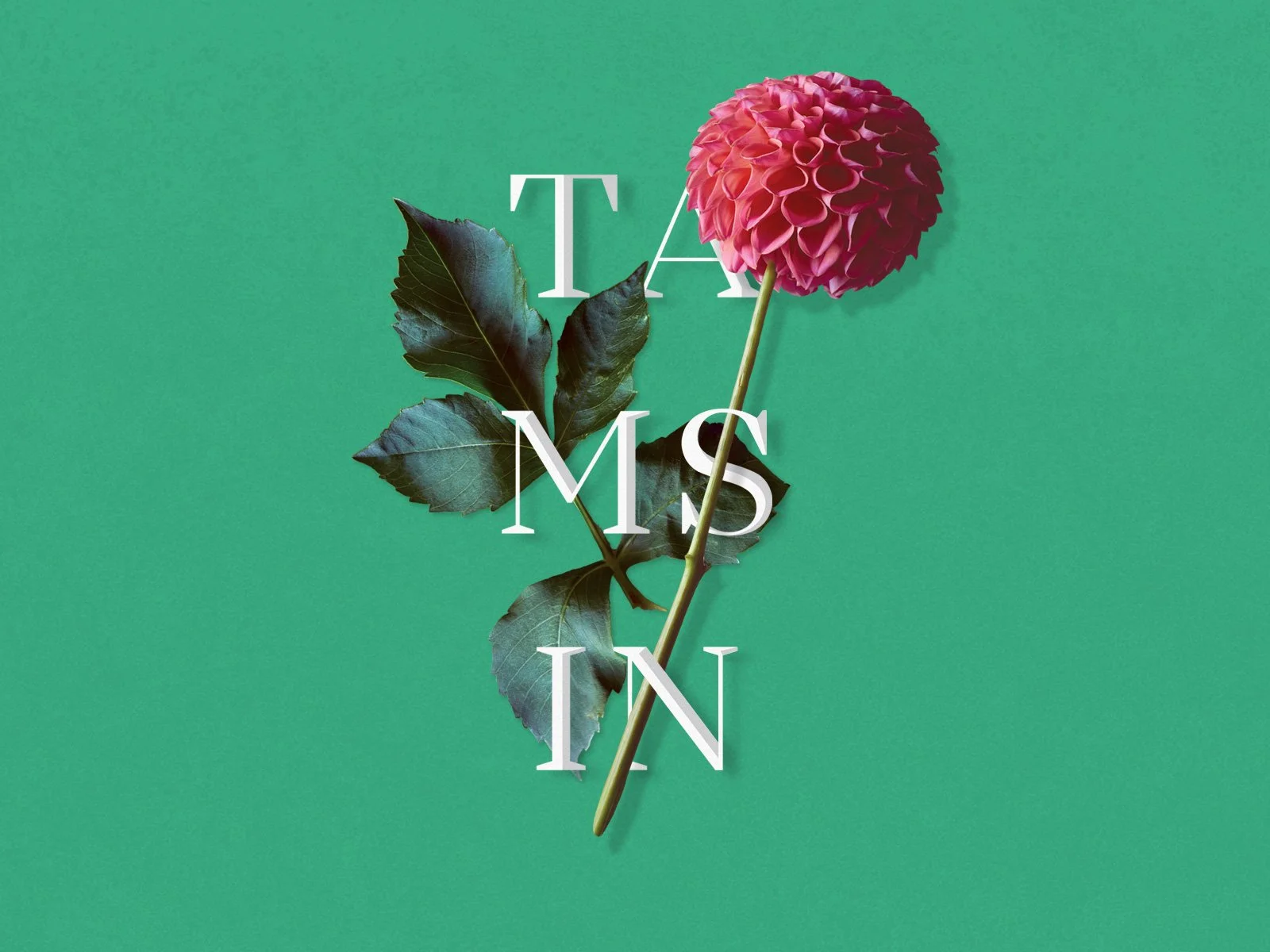 Tamsin Scott, Floral Set Designer in RyeZine No.9 — RyeZine