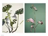 Alma Haser is known for her complex and meticulously constructed ...