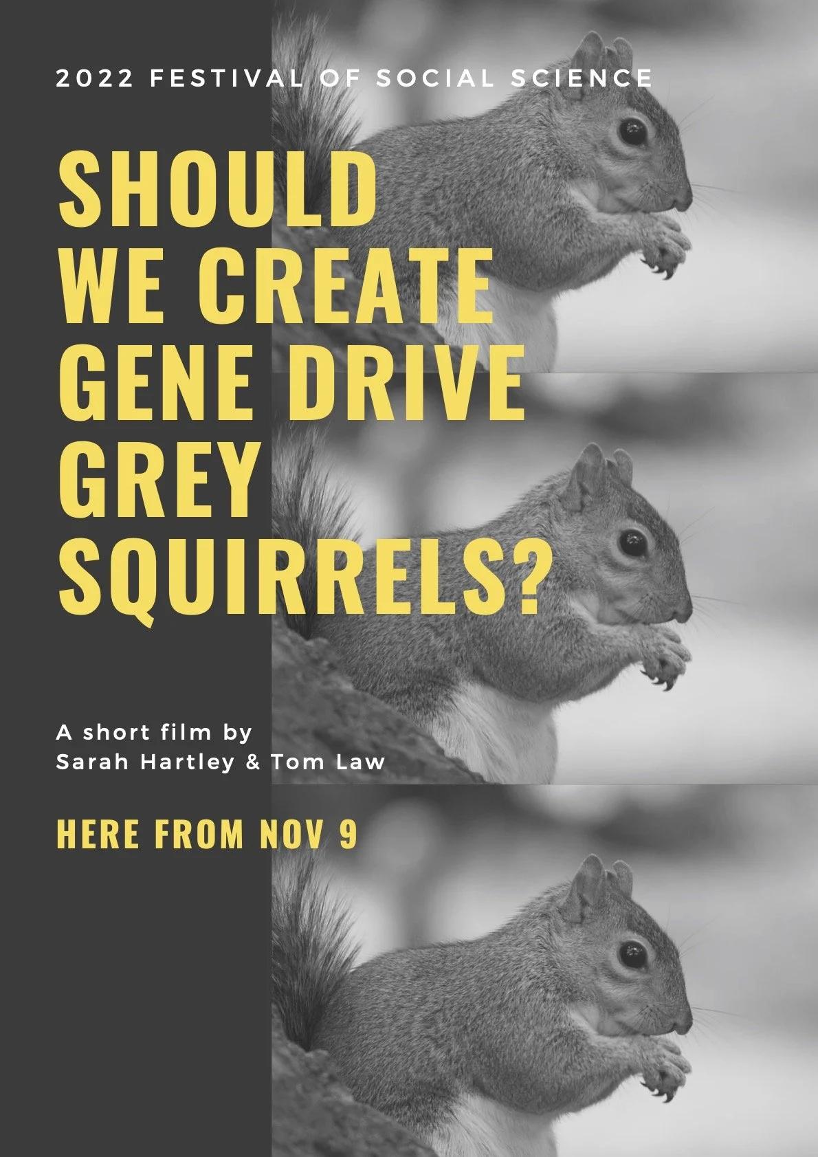 Gene Drive Governance