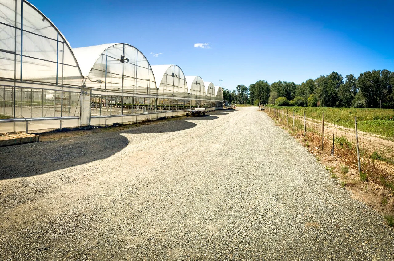 Windmill Riverside Farm