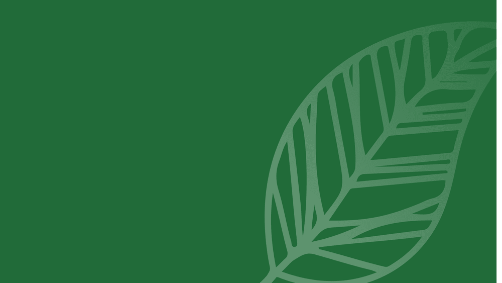 History to shape history (for the better) — Leaf