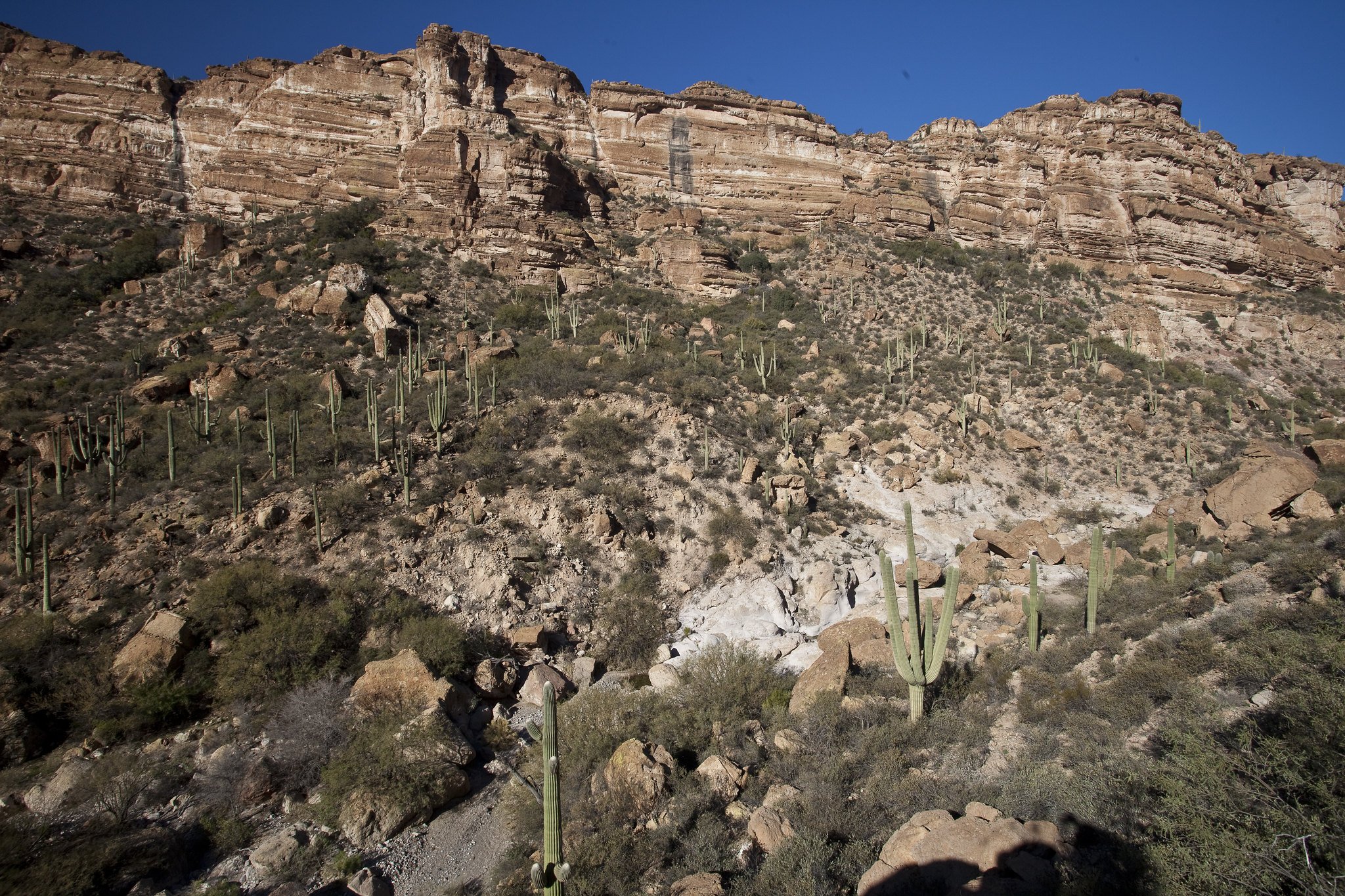 Arizona Elopement Guide — Arizona Wedding + Elopement Photographer