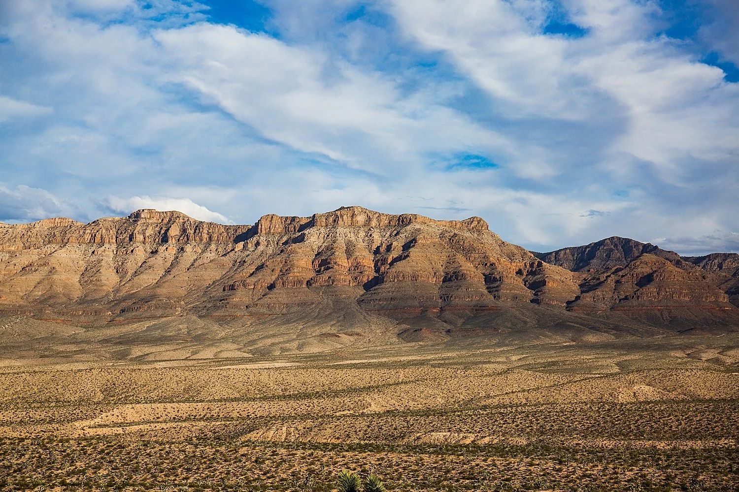 Arizona Elopement Guide — Arizona Wedding + Elopement Photographer