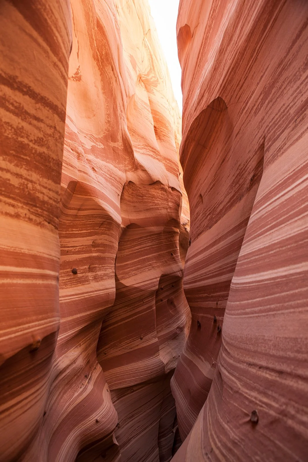 Grand Staircase Escalante Elopement Guide — Adventure Elopement ...
