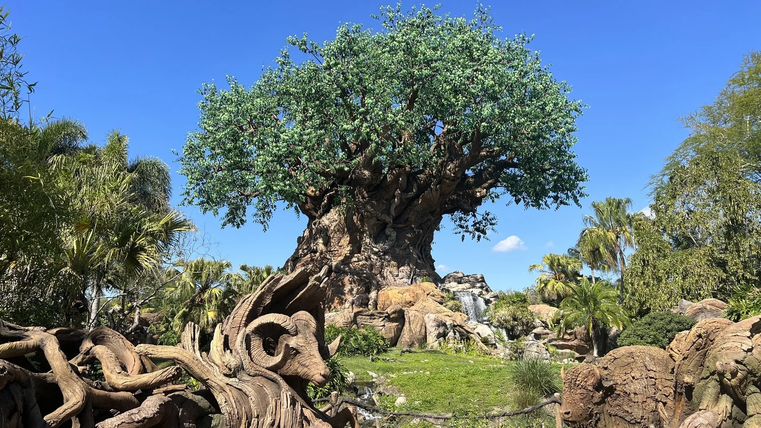 animal kingdom — the altem life