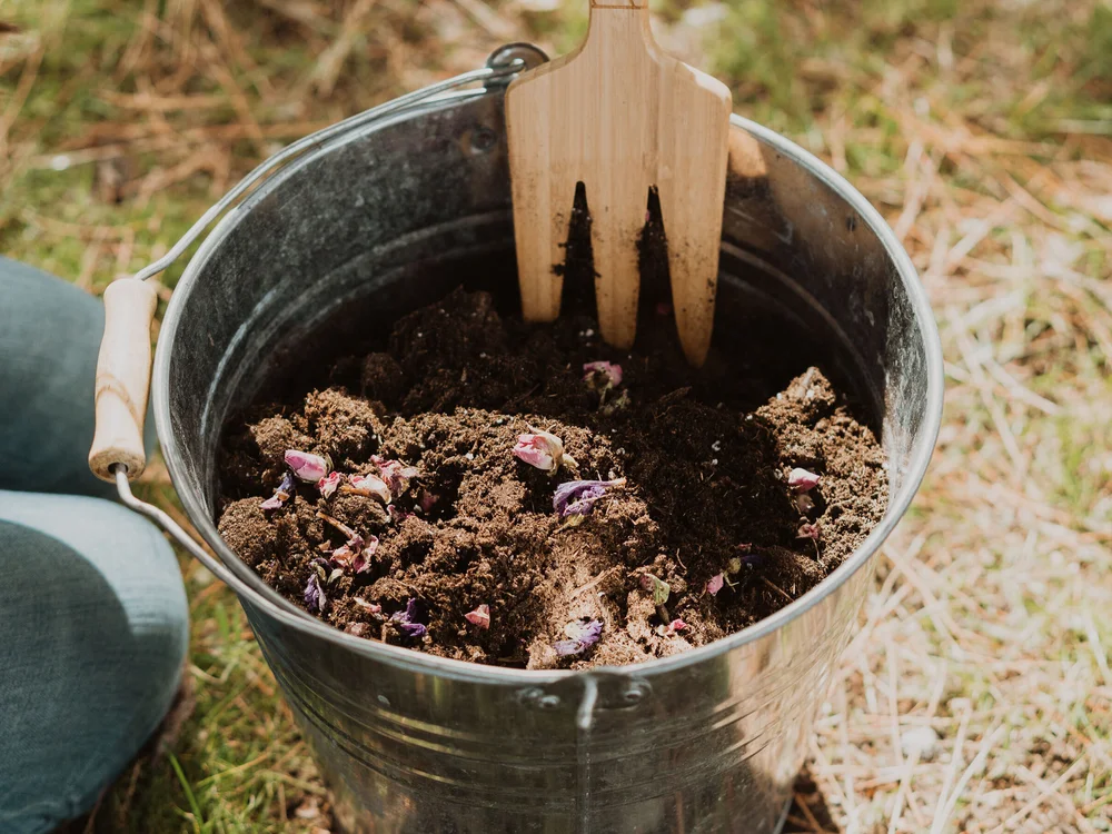 How to Neutralize Cremation Ashes for Planting — AWAKE
