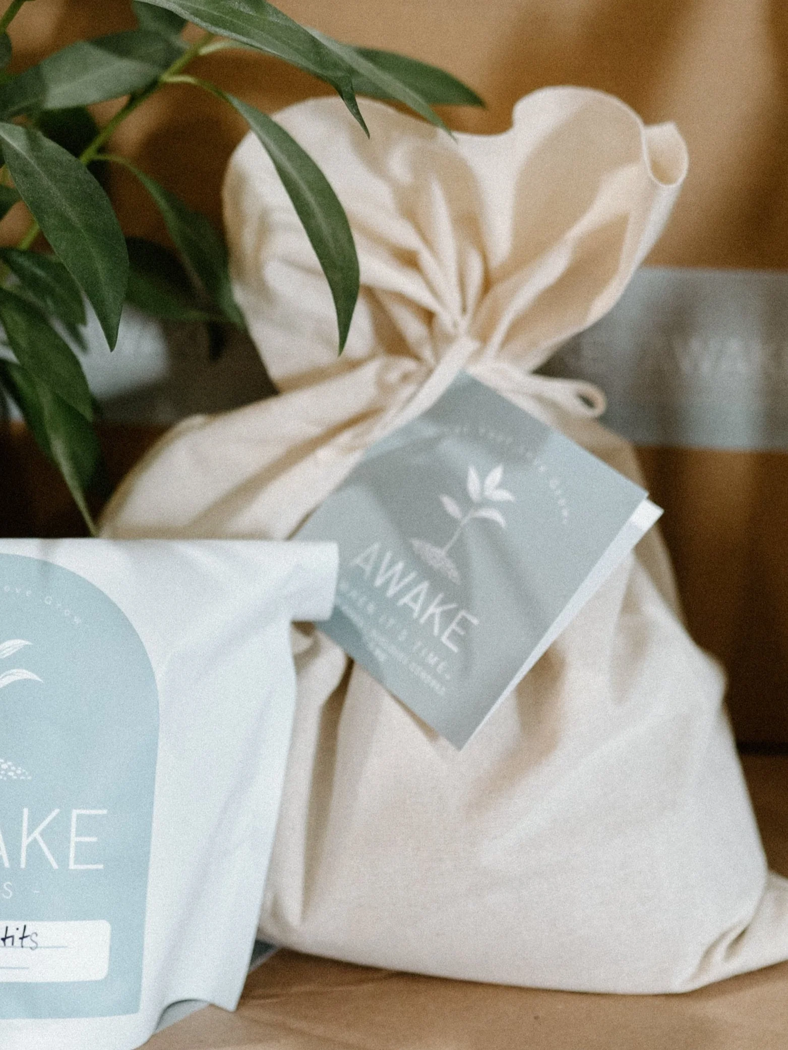 Our Natural Shrouds for Ashes — AWAKE