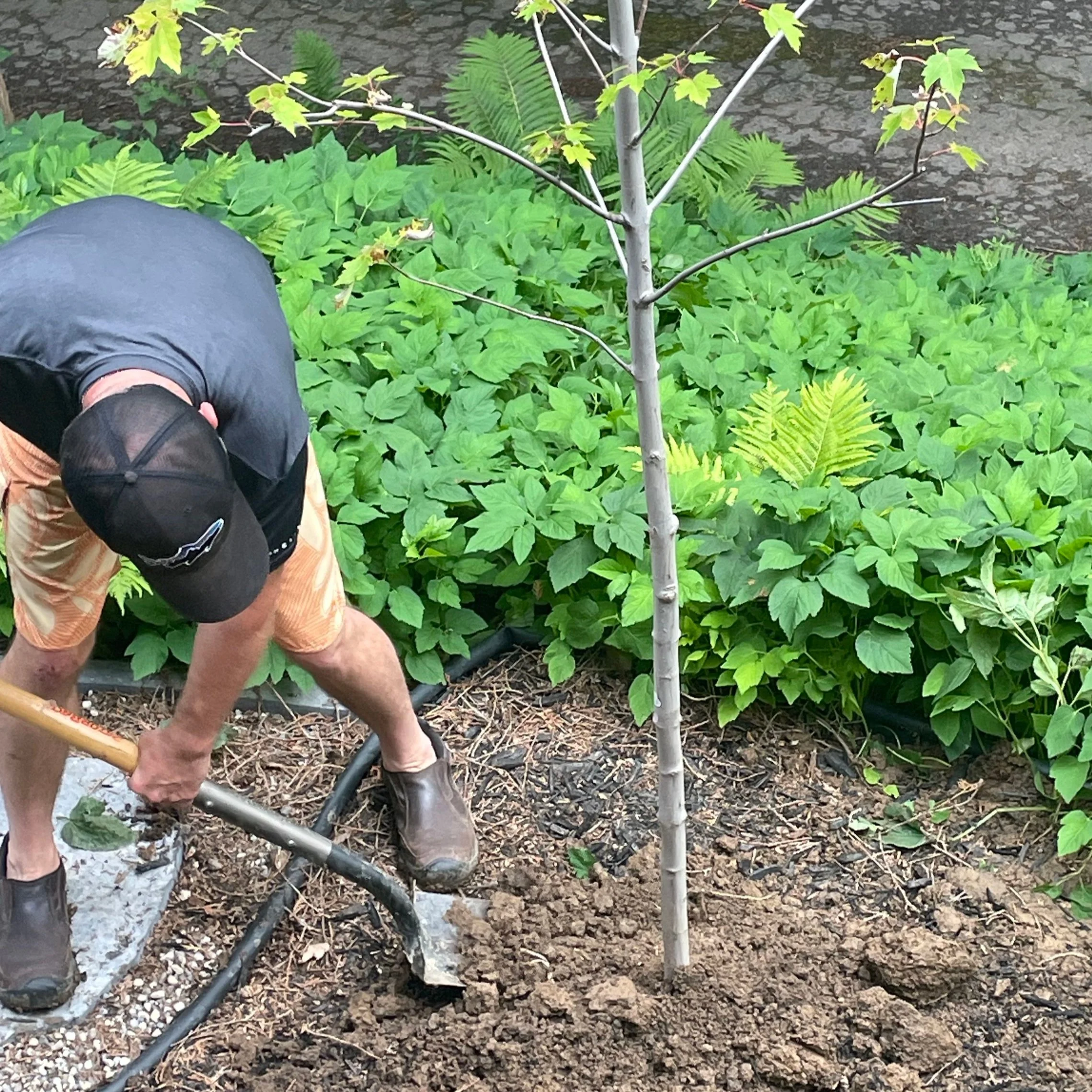 Preventing Secondary Grief — AWAKE