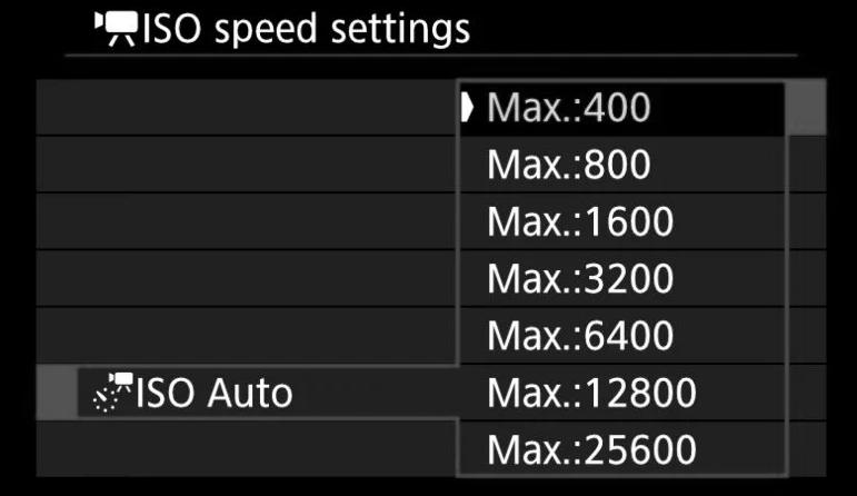 Camera Settings 103: Identifying ISO — Beau Downard