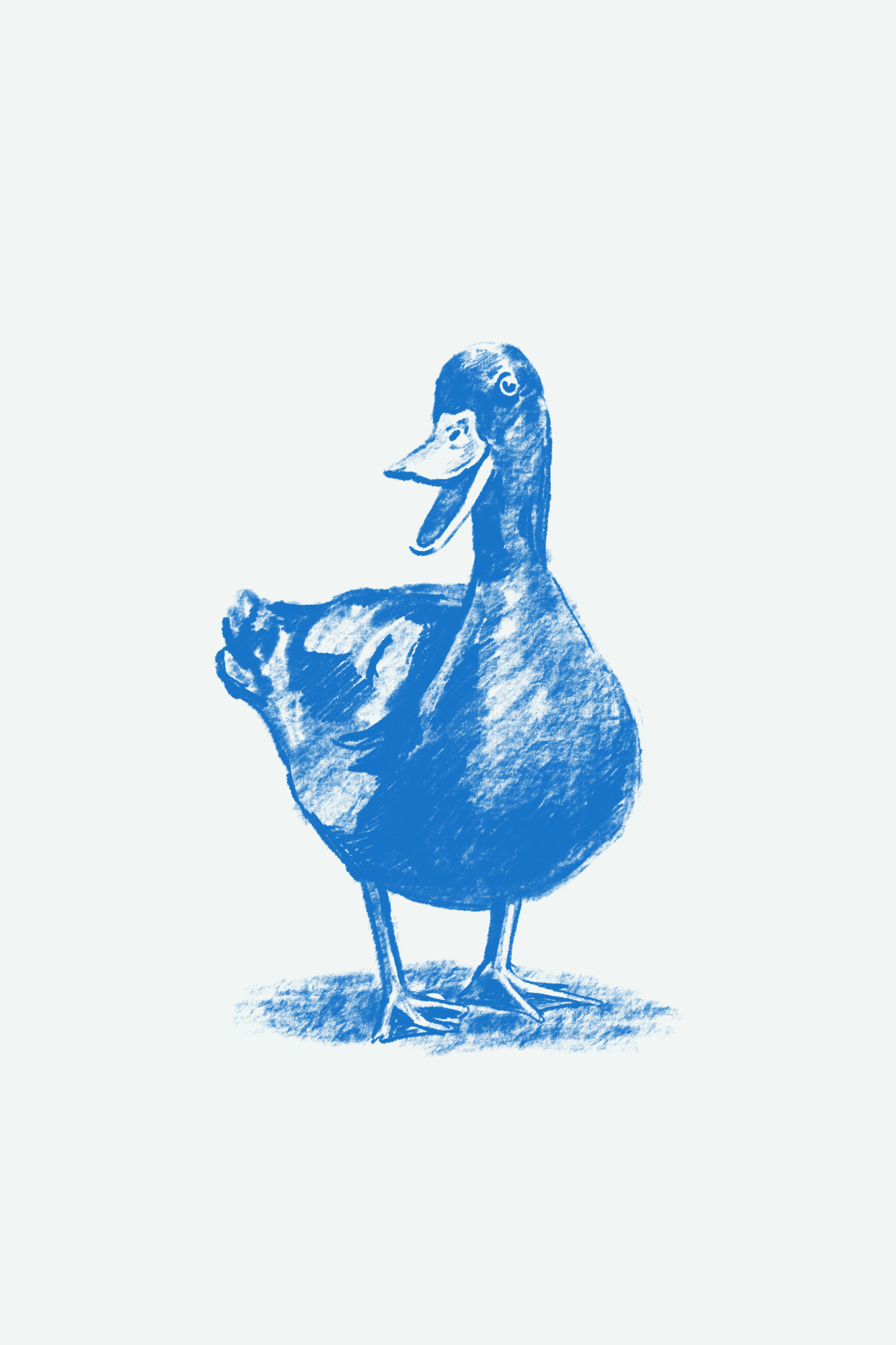The Blue Duck — We are Box 8 Creative