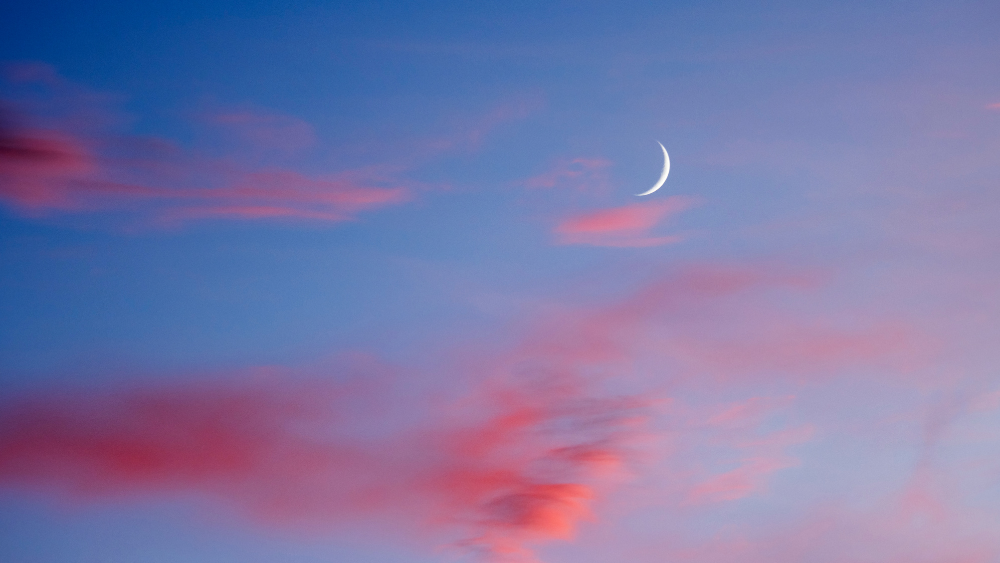 Sisters That Stray Blog — Sisters That Stray