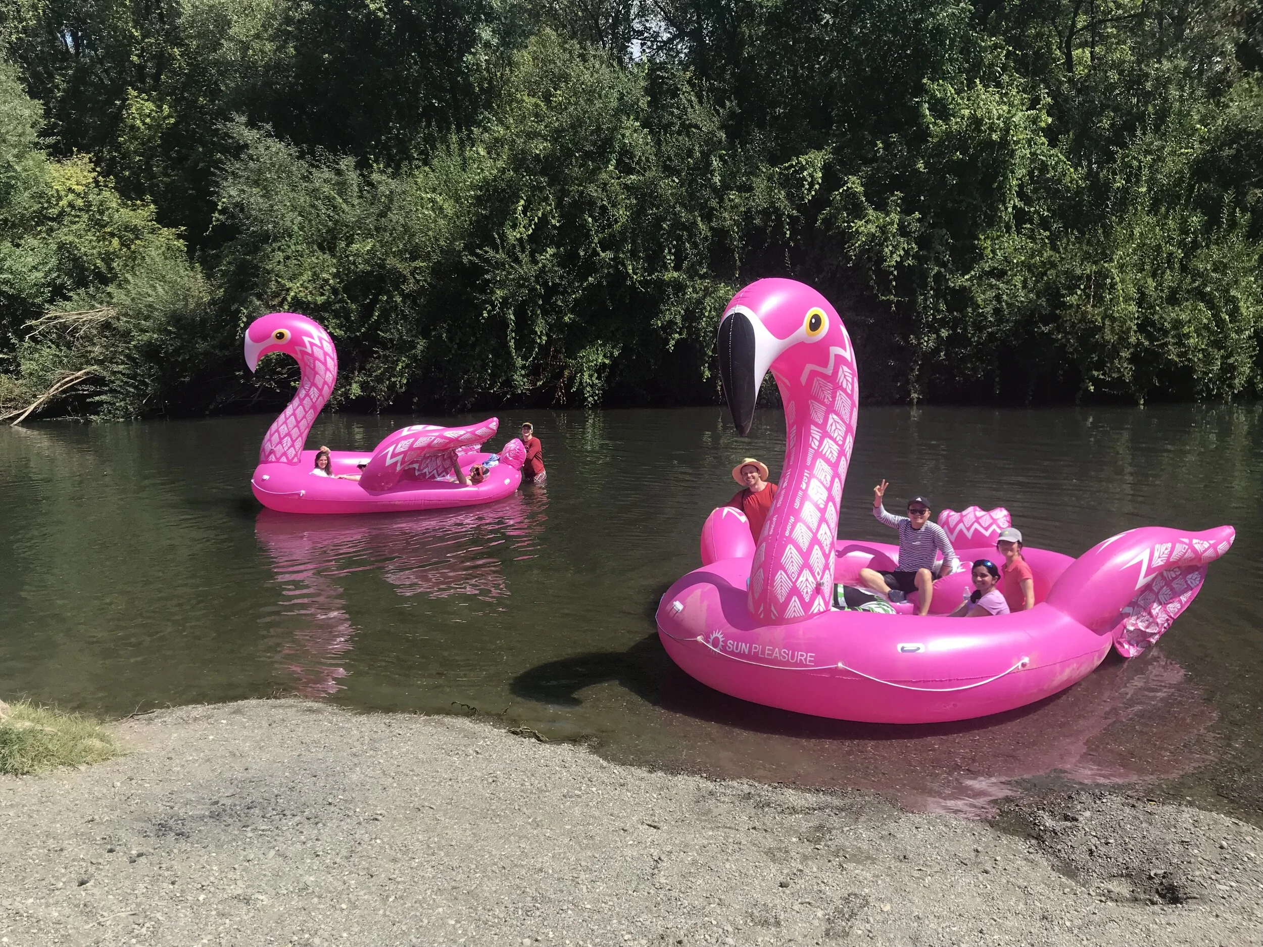 People — The Gozani Lab