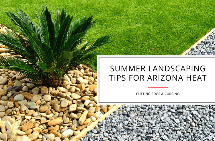 Summer Landscaping Tips for Arizona Heat — Cutting Edge Curbing ...
