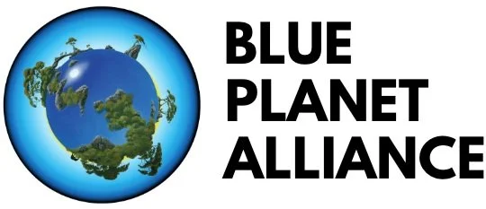Blue World Logo
