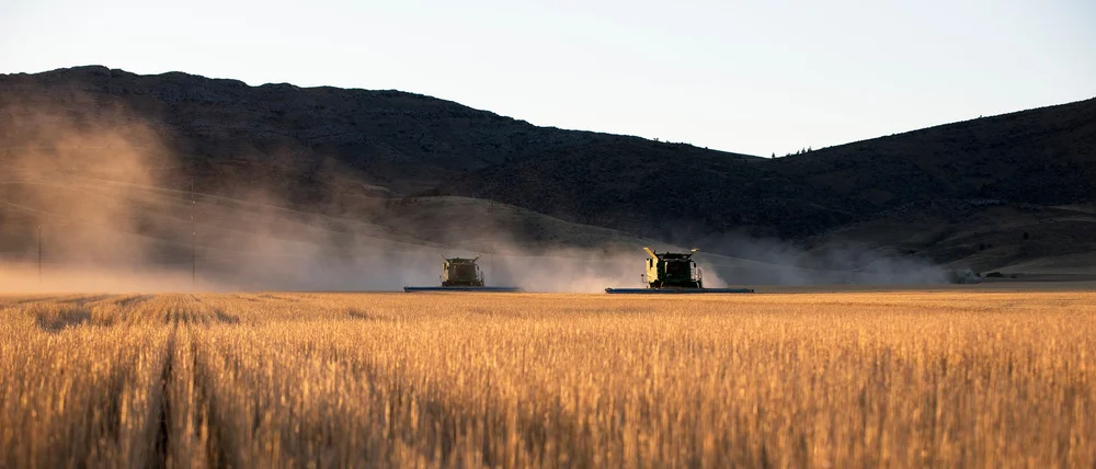 Our Story — Wheat Montana