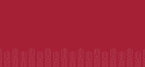 Flour, Wheat, Mixes, & Cereal — Wheat Montana