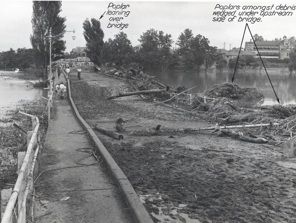 The Long Bridges — Maitland: Our Place, Our Stories