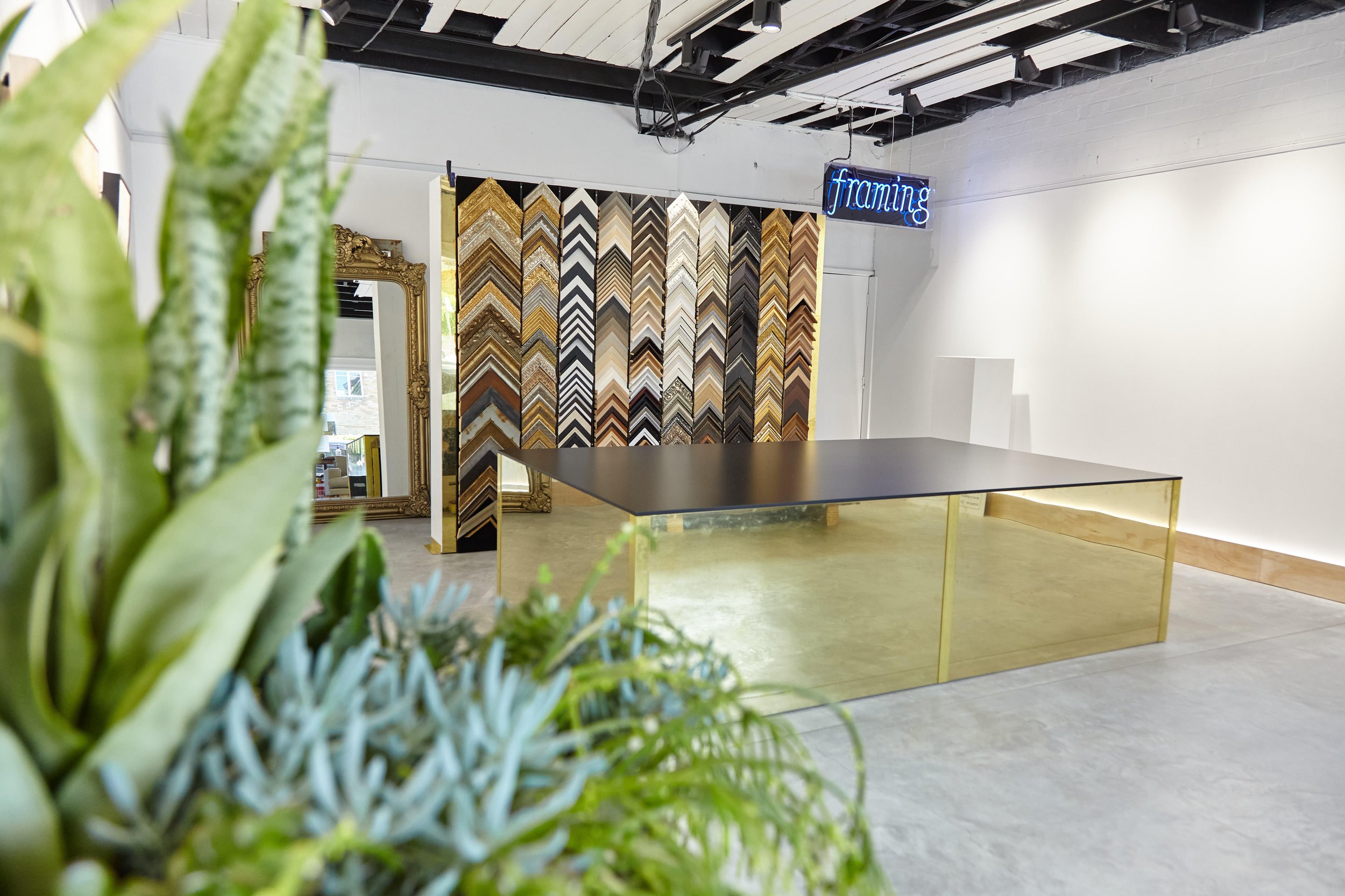 Contact — Ditty Wheels