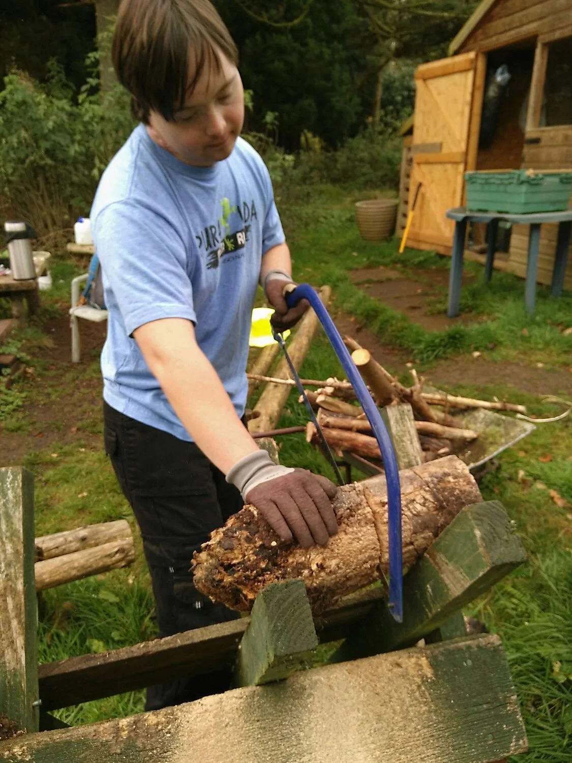 Day Service for people with Learning Disabilities — Tiphereth ...