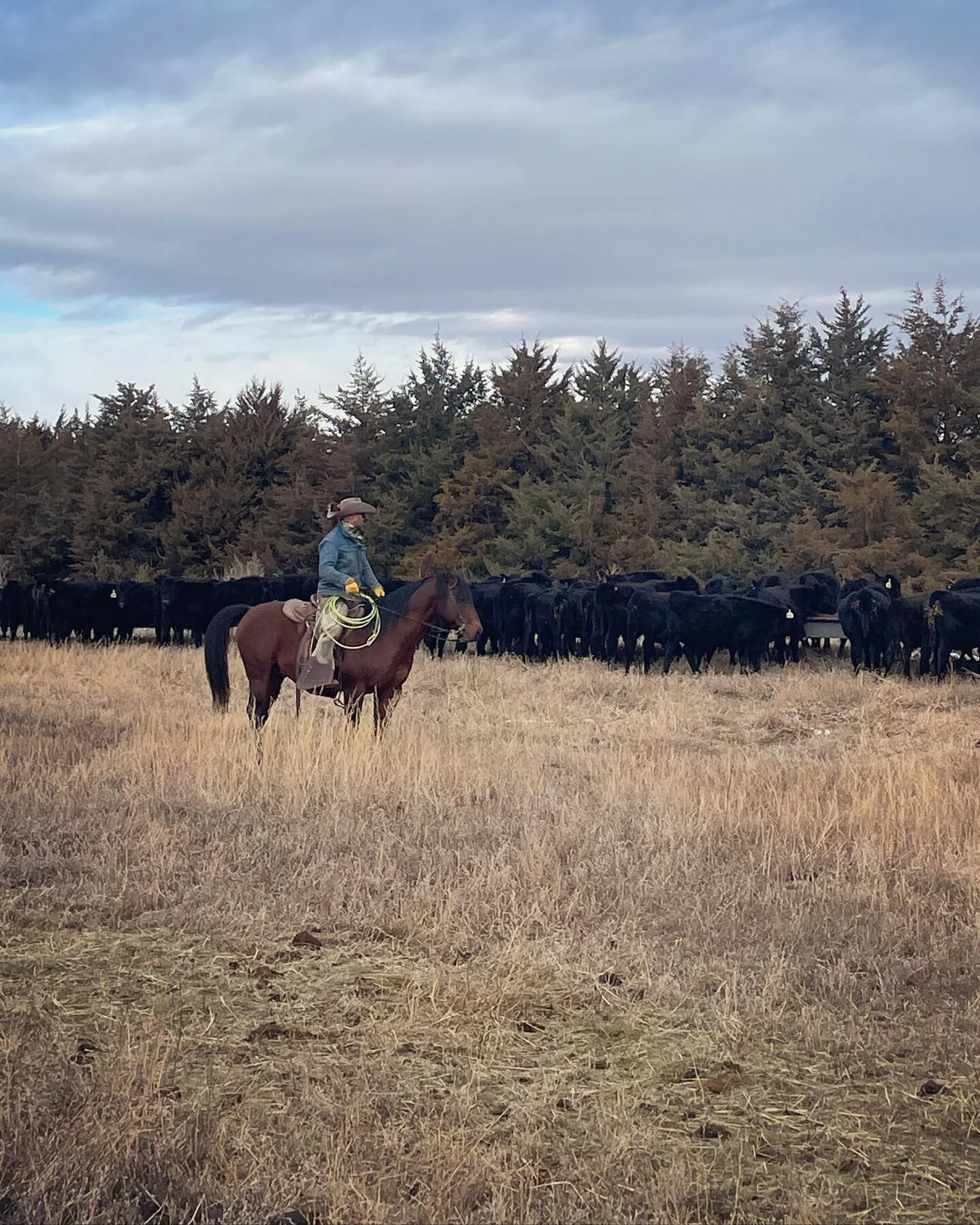 About Our Ranch — Whitewater Beef