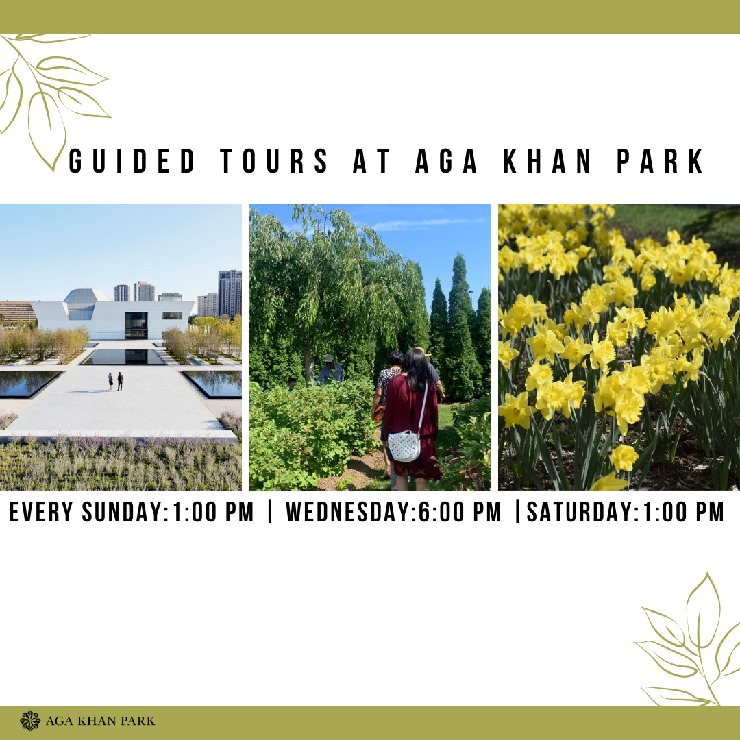 Home — Aga Khan Park