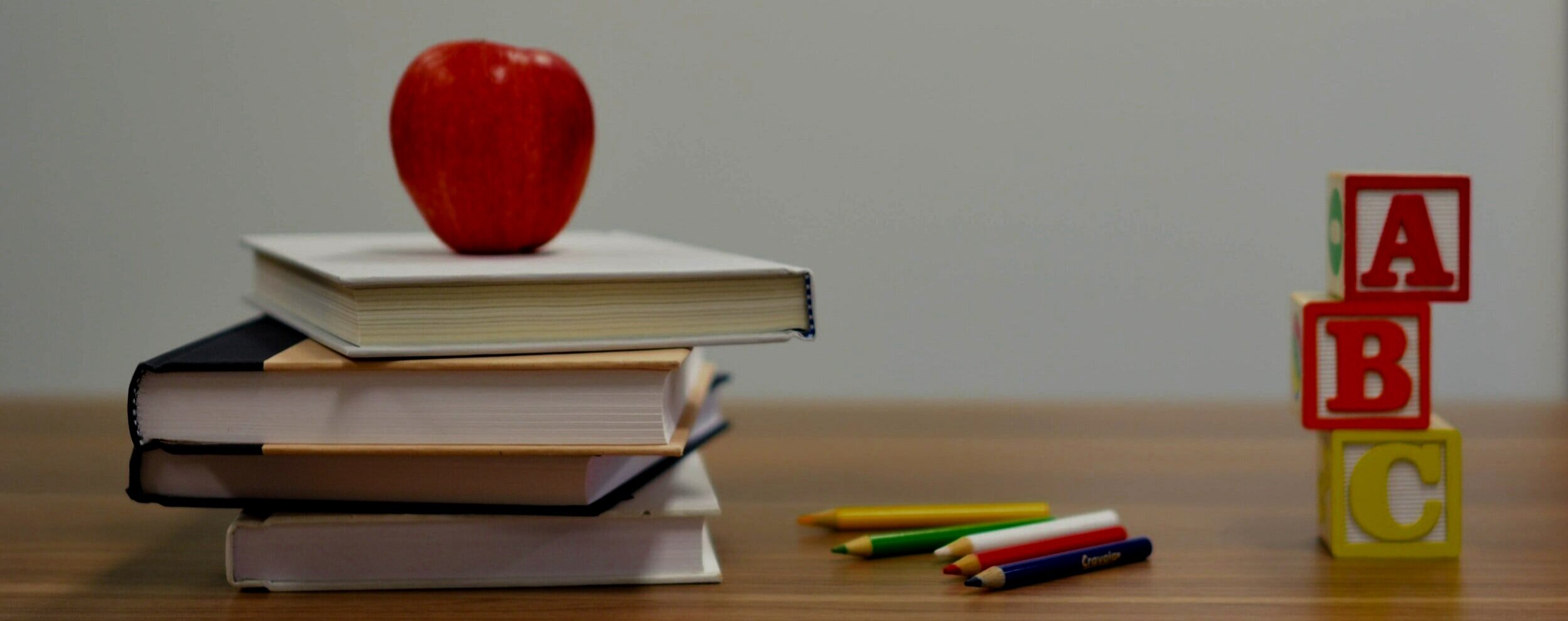 Disability Equality Education