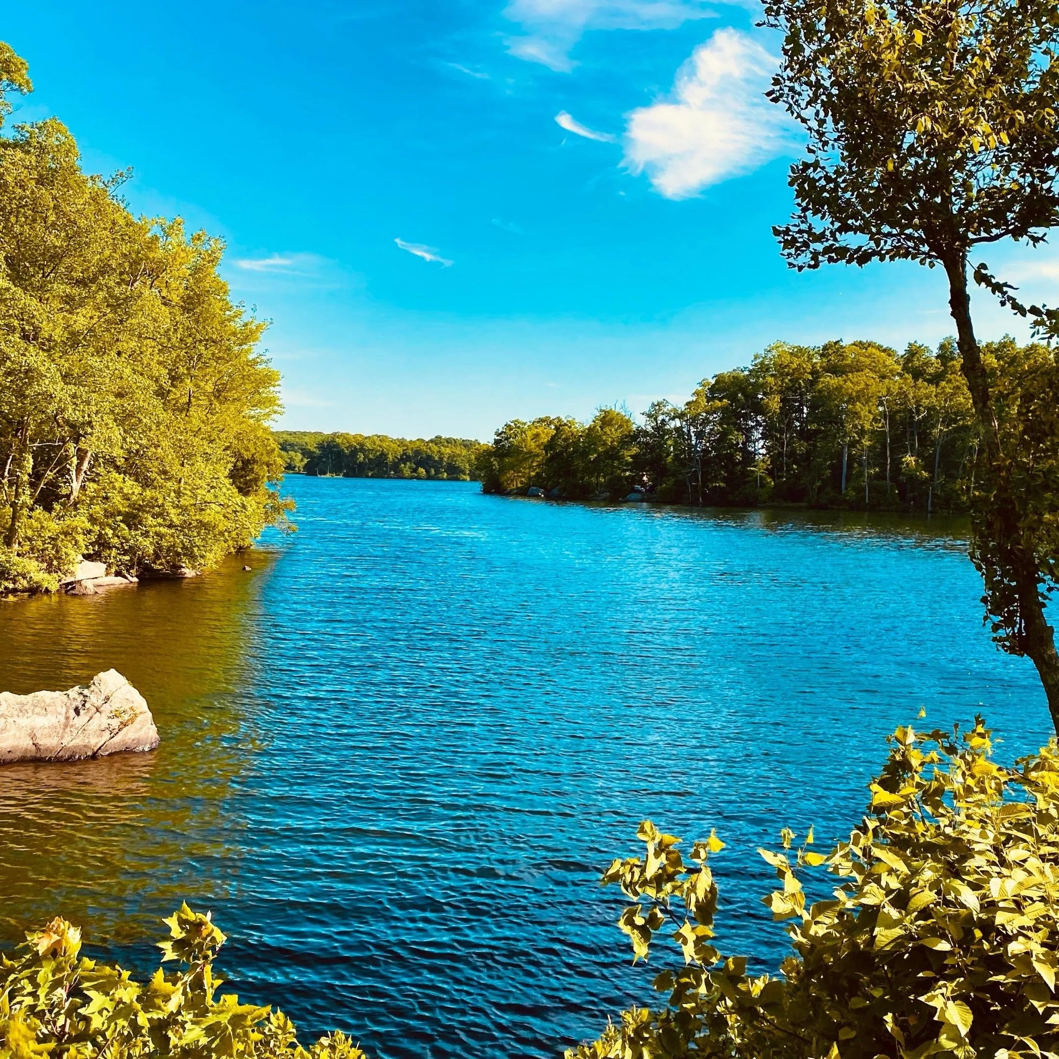 Summer Camp in Lincoln Woods State Park 2023 — Studio Playground