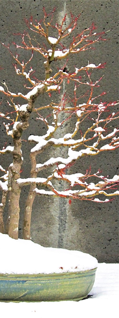 Winter Solstice — The Curator's Journal