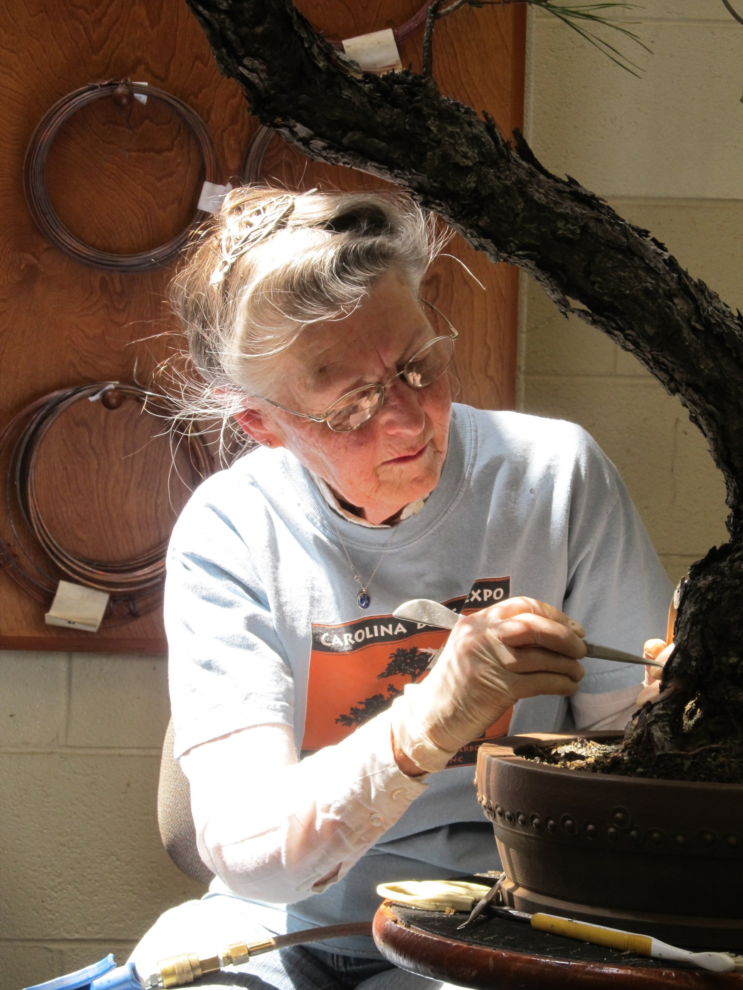 Virginia — The Curator's Journal