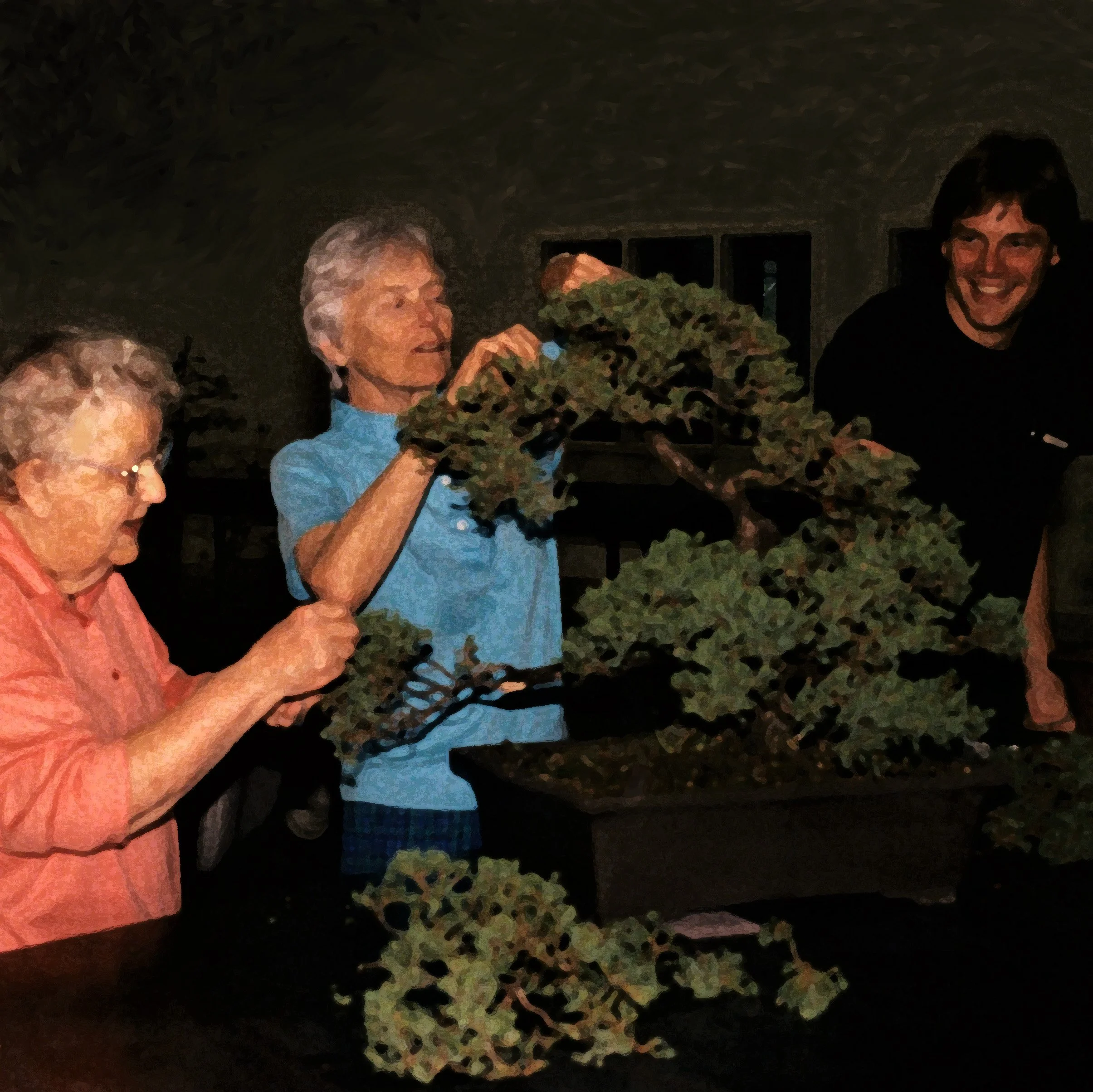 Going Places — The Curator's Journal