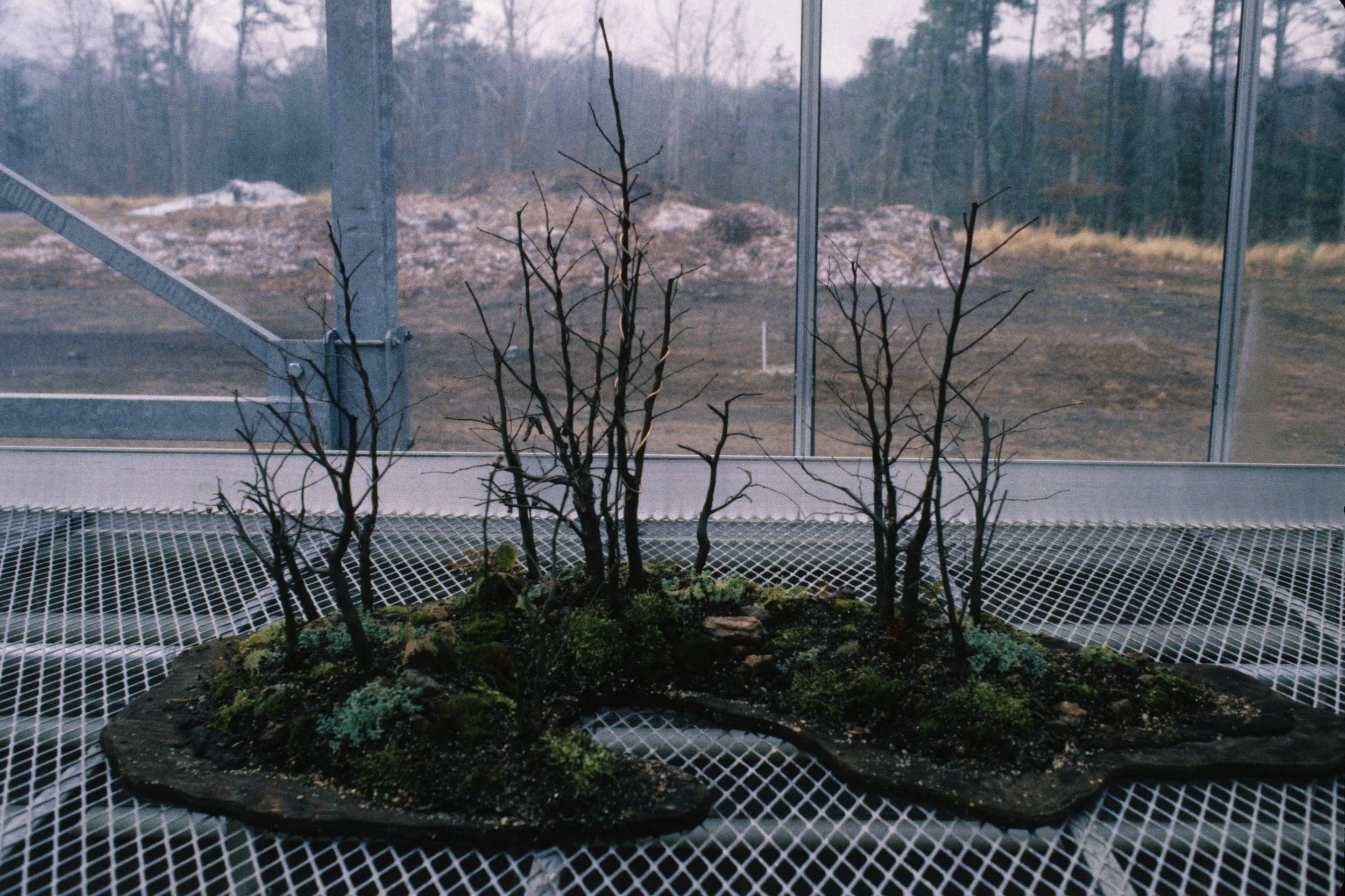 The Official Report — The Curator's Journal