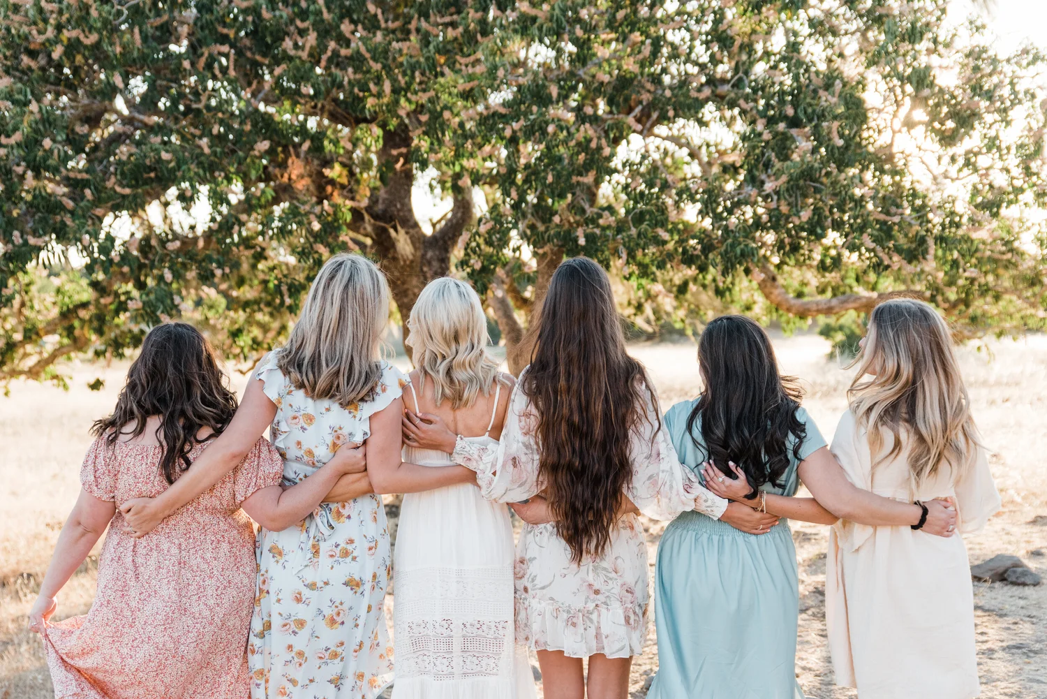 About | Dr. Kimberly Lyons & Team — Lyons Optometry