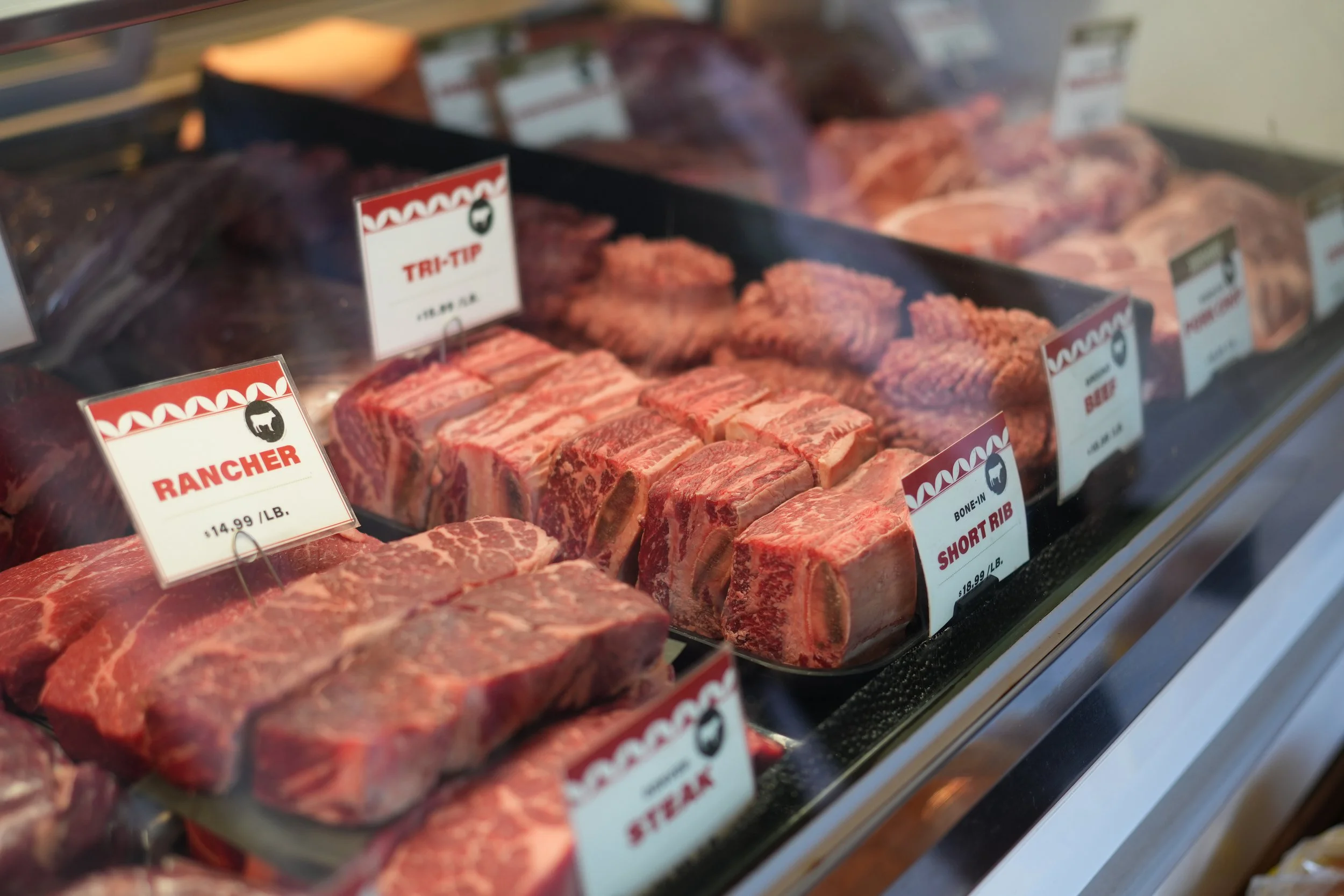 North Park — The Wise Ox